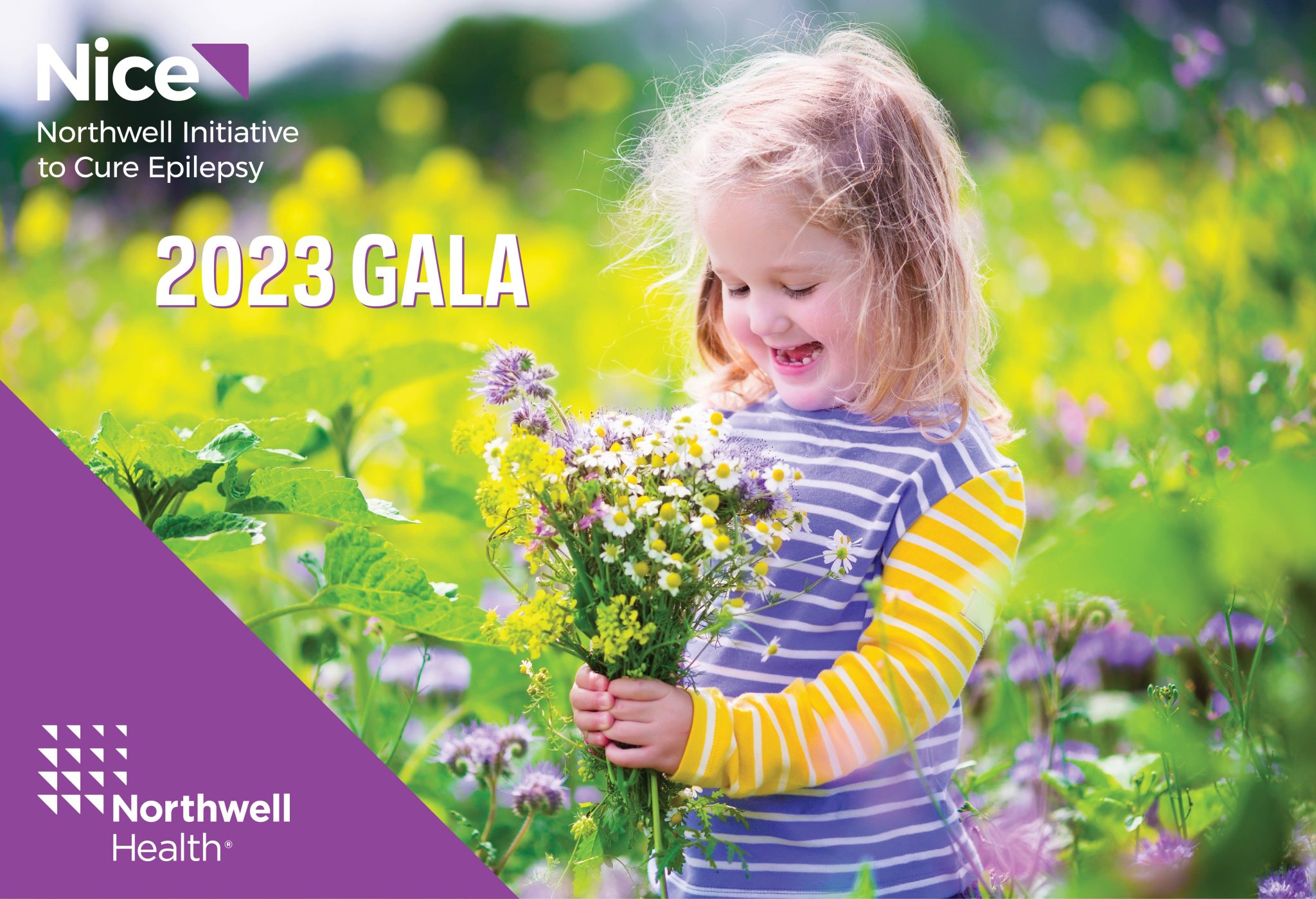 Home - Northwell Initiative to Cure Epilepsy (NICE)